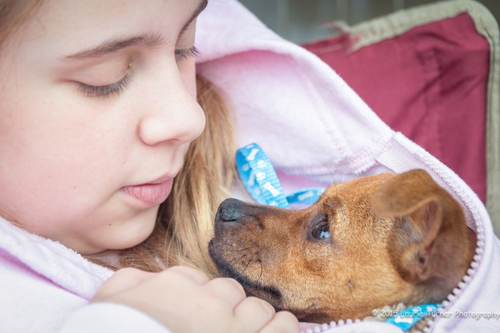 How to Adopt – Forgotten Paws Animal Rescue